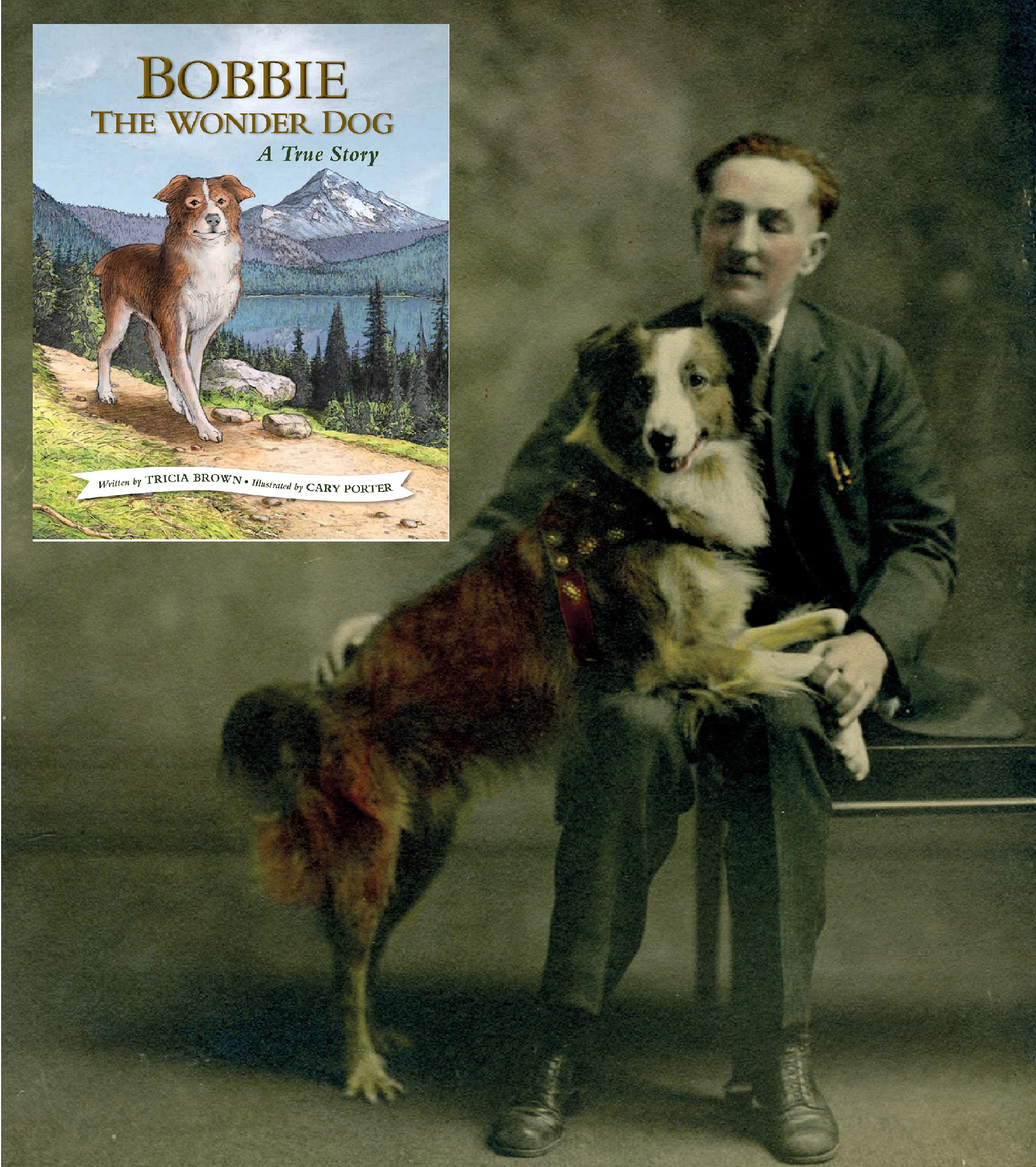 Back from Bobbie Country | Tricia Brown Books